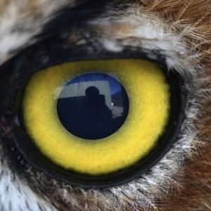 YesWeHack #1 Bug Bounty Platform in Europe